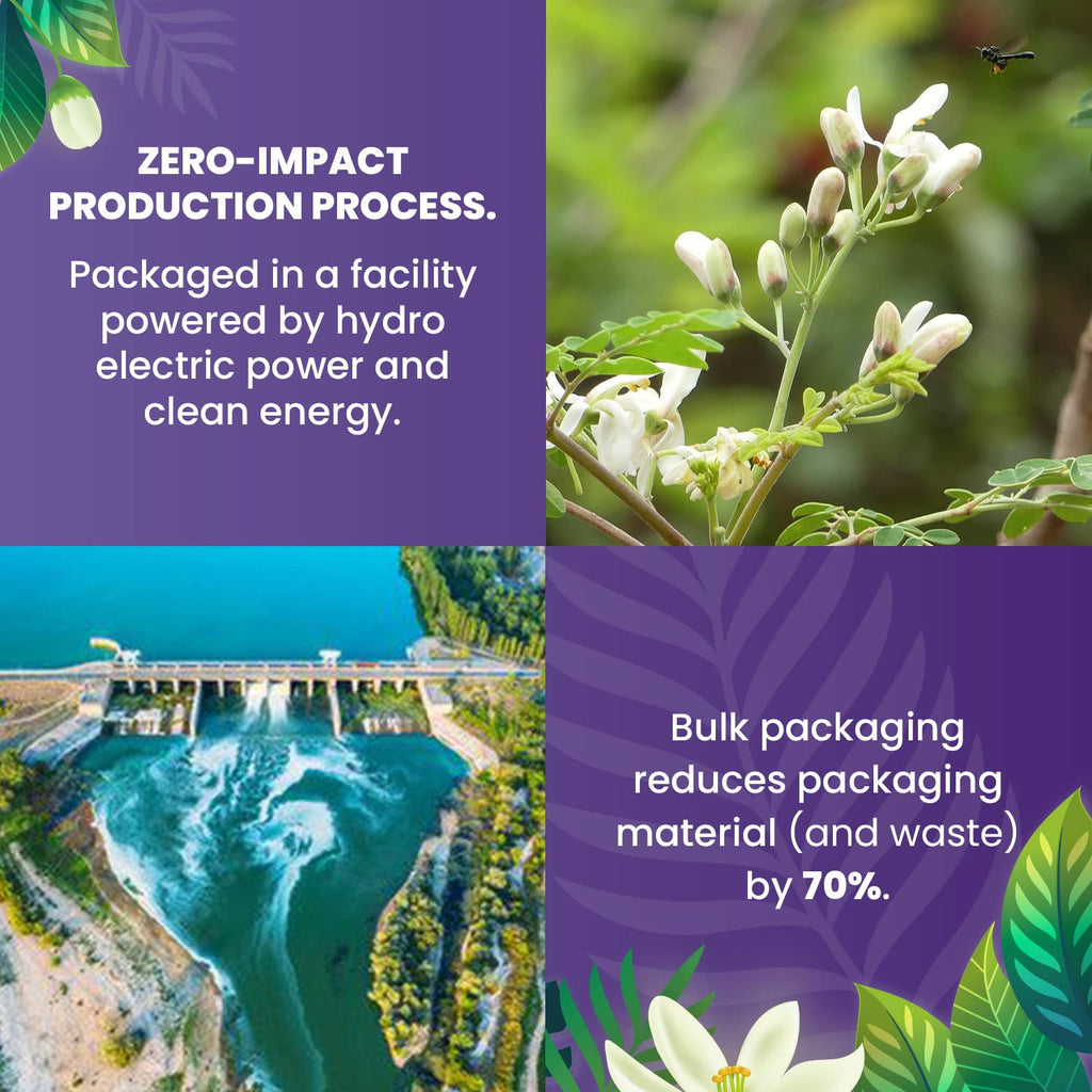 moringa tea for daily hydration