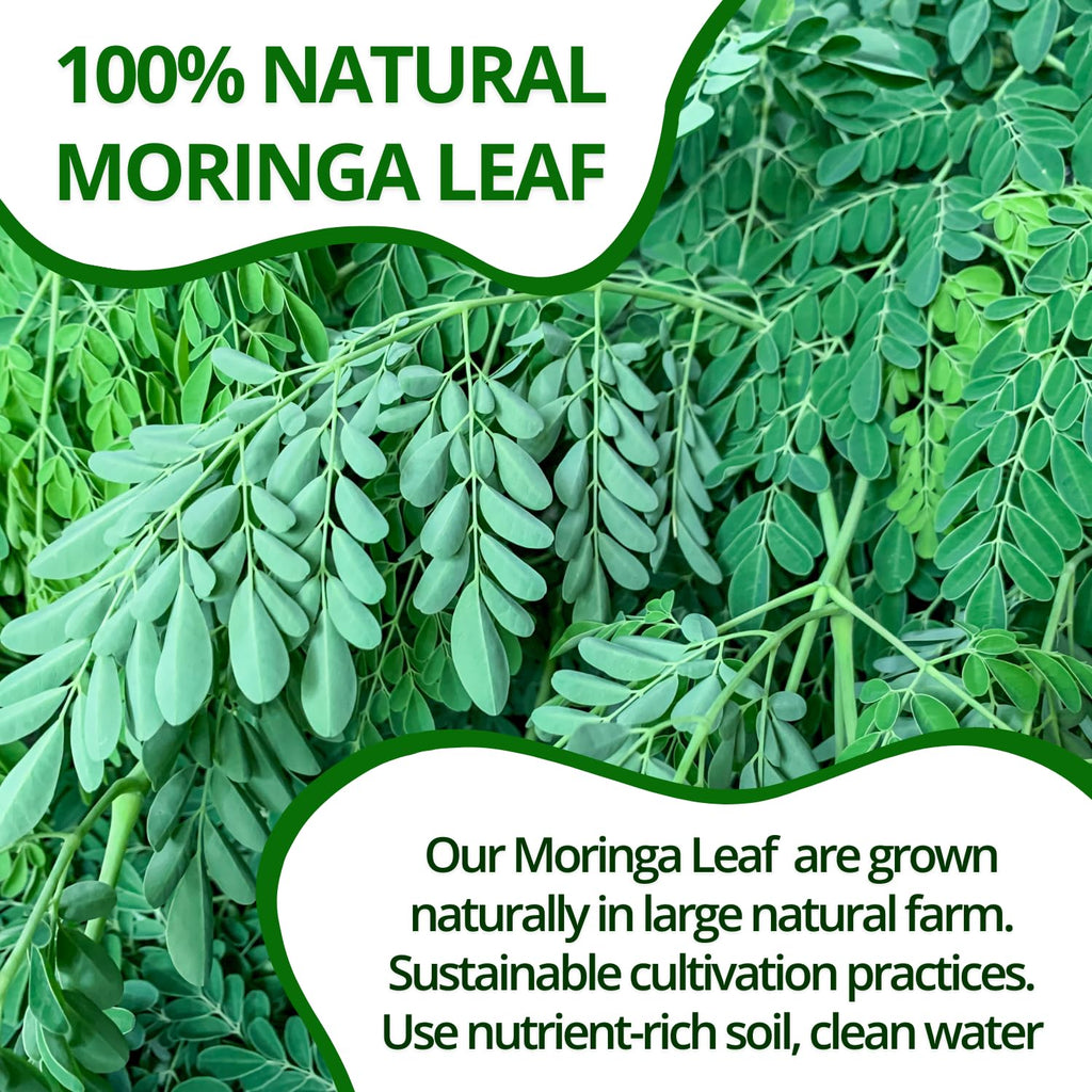 moringa tea for energy boost