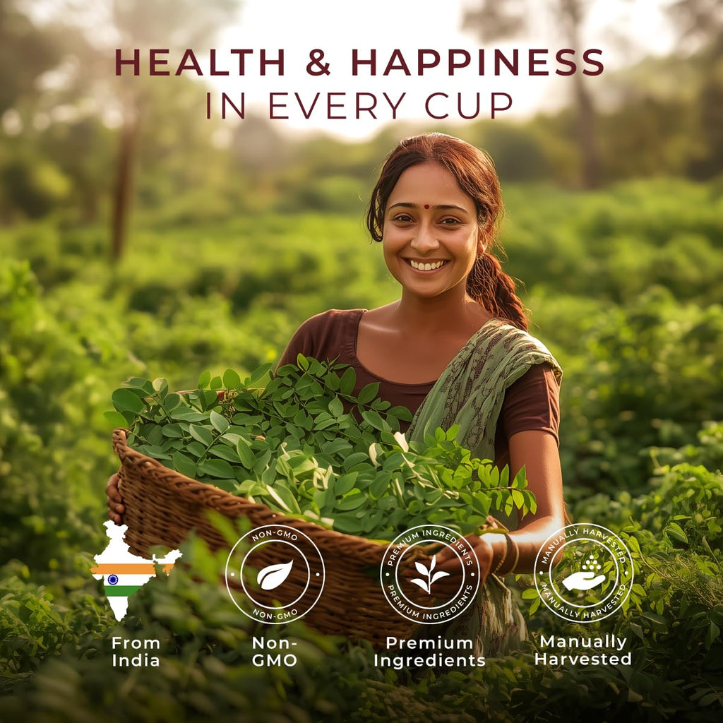 moringa tea pods for energy boost