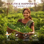 moringa tea pods for energy boost
