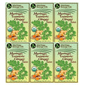 Moringa turmeric ginger herbal tea bags