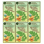 Moringa turmeric ginger herbal tea bags