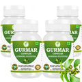 Morsan Gurmar vegan capsules benefits