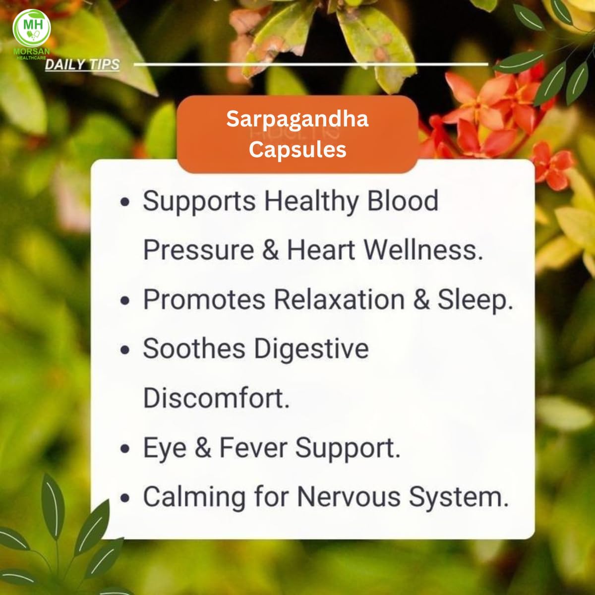 Morsan Healthcare natural wellness solution