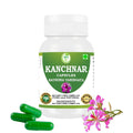 Morsan Kanchnar herbal supplements for detox
