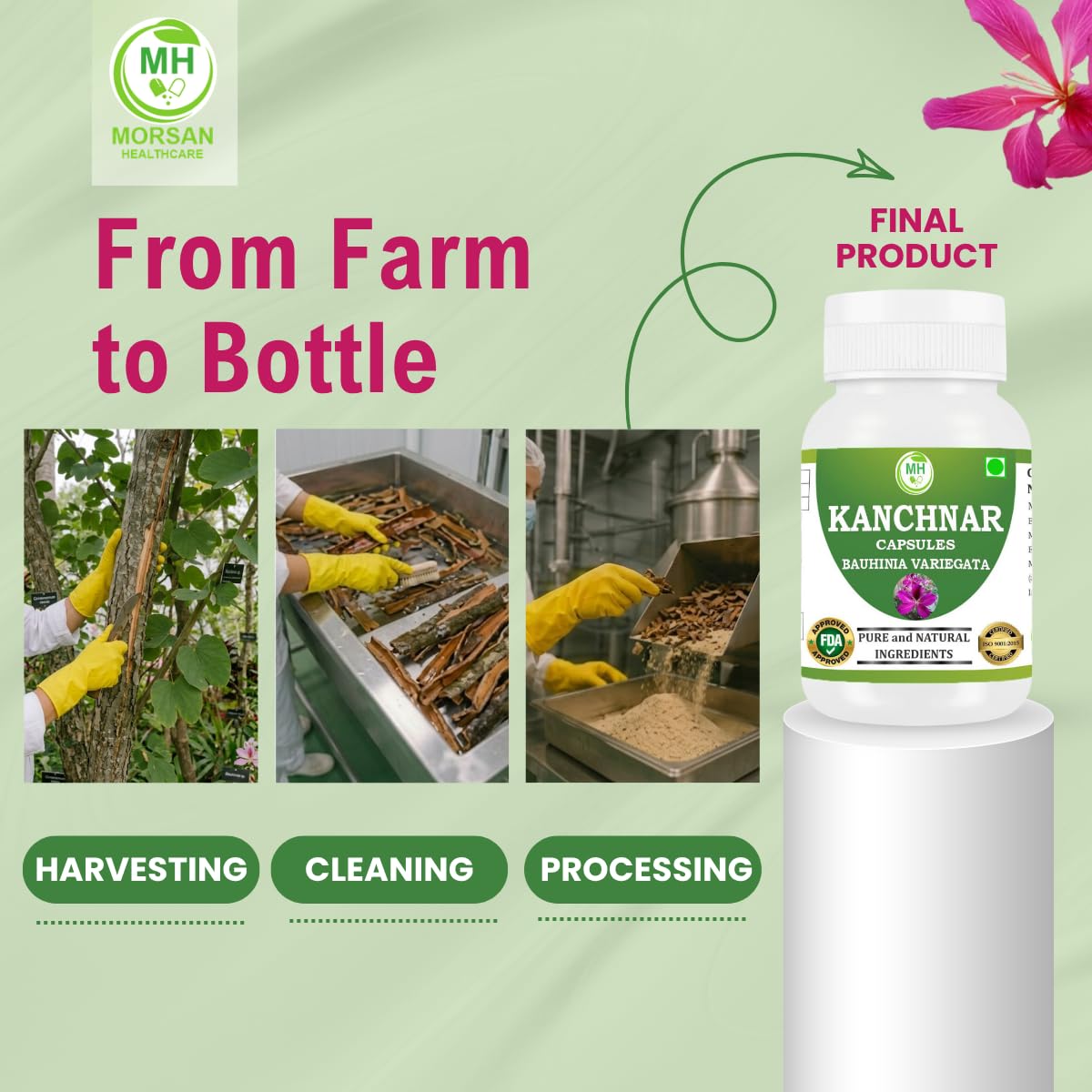 Morsan Kanchnar herbal supplements for skin health