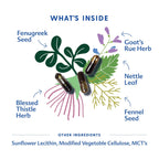 Motherlove milk thistle for increased milk supply