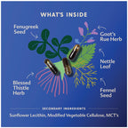 Motherlove More Milk Special Blend benefits