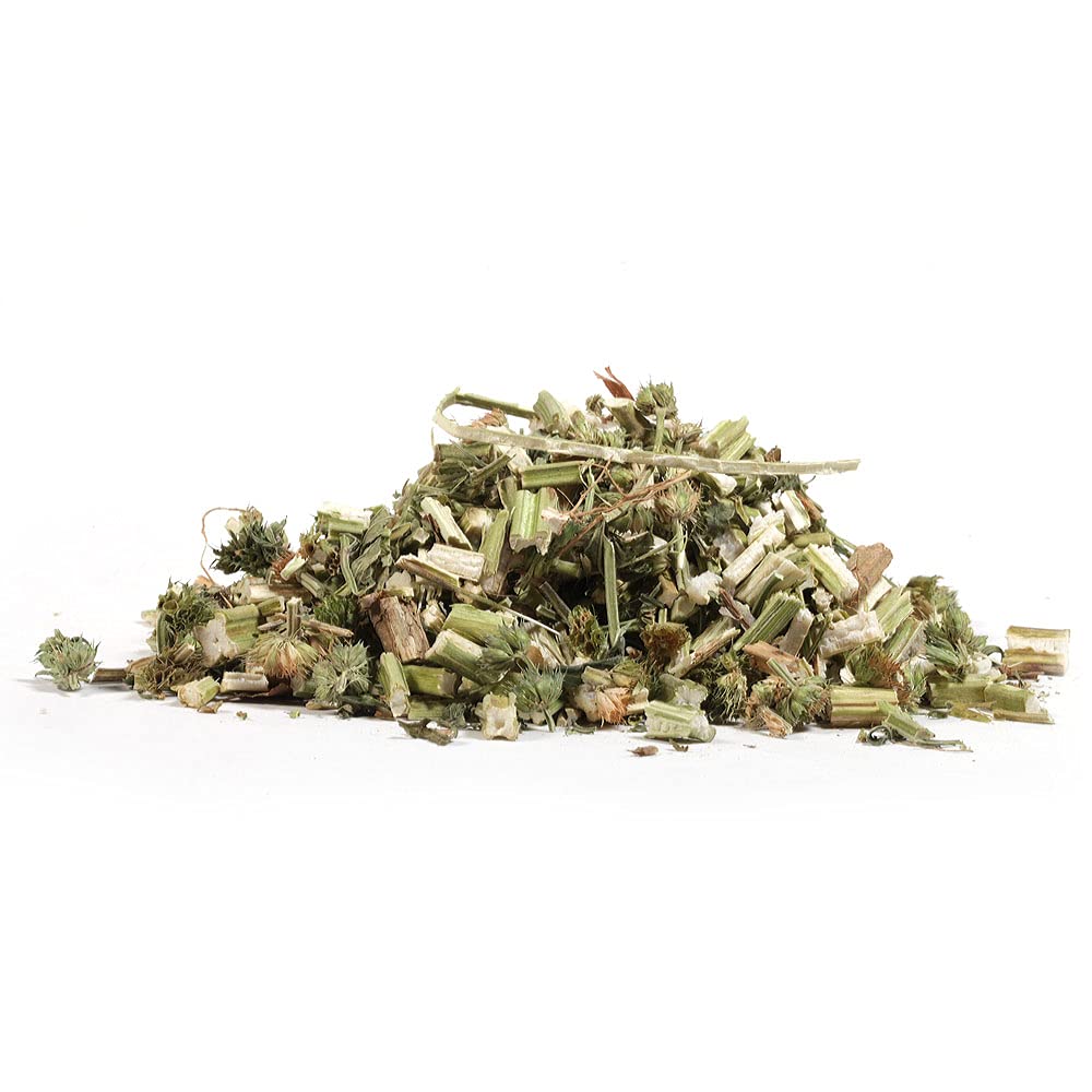 motherwort benefits for wellness