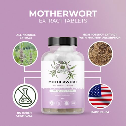 Motherwort echinacea for energy enhancement