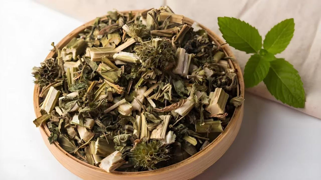 Motherwort herb for relaxation and wellness