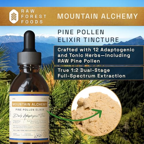 Mountain Alchemy Pine adaptogenic elixir
