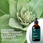 Mountain Meadow Mullein extract benefits