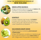 Moxxor fish oil for overall wellness