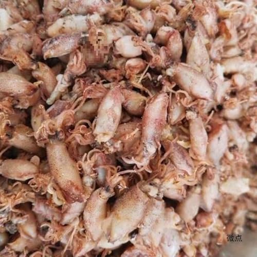 Moyuzai cuttlefish as a supplement