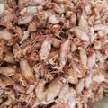 Moyuzai dried cuttlefish nutrients