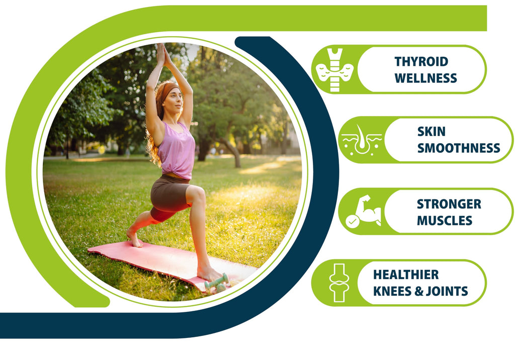MPK herbal supplements for digestion