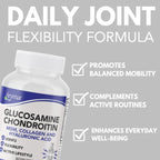 MSM and collagen for joint support