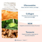 MSM and glucosamine blend benefits