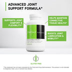 MSM and glucosamine supplement benefits