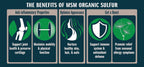 msm crystals for better sleep