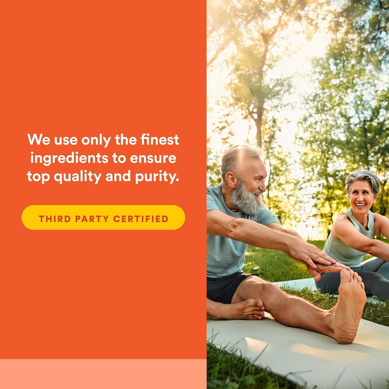 msm for inflammation support
