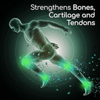 MSM joint health supplement benefits