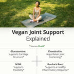 MSM supplement for healthy joints
