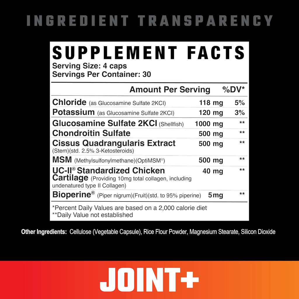 MSM supplement for joint health