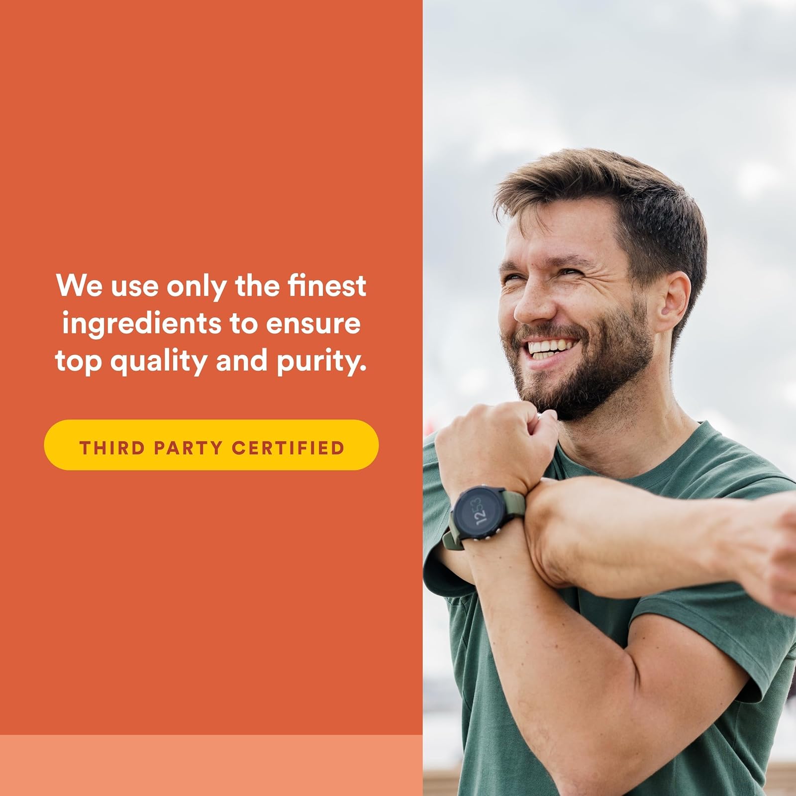 msm supplement for overall wellness