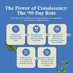 msm supplement for overall wellness