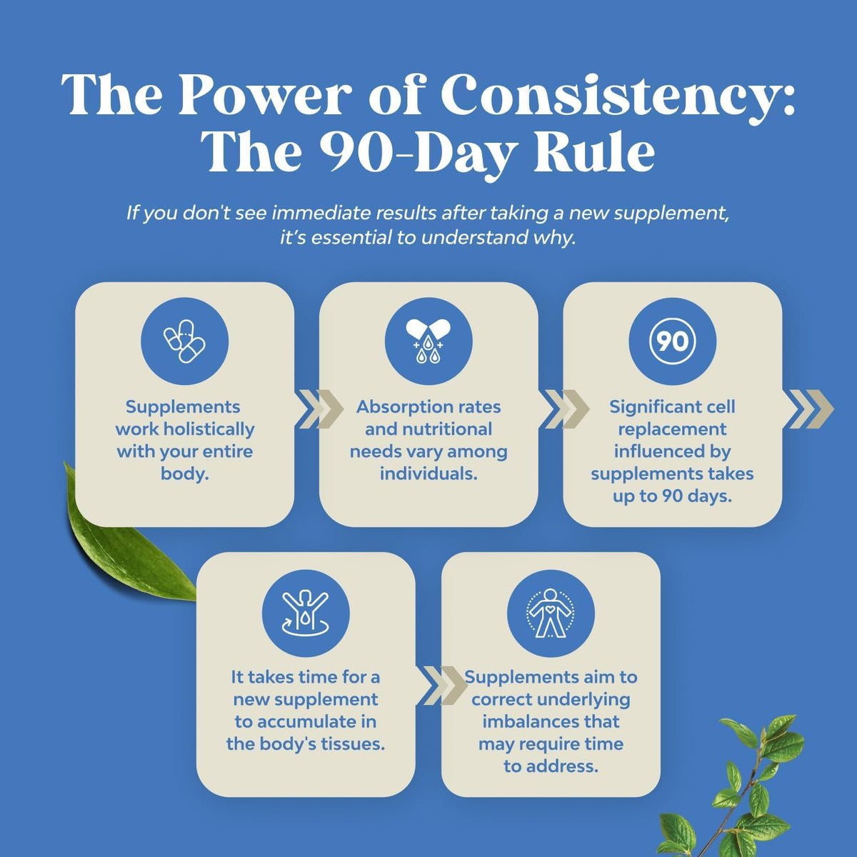 msm supplement for overall wellness