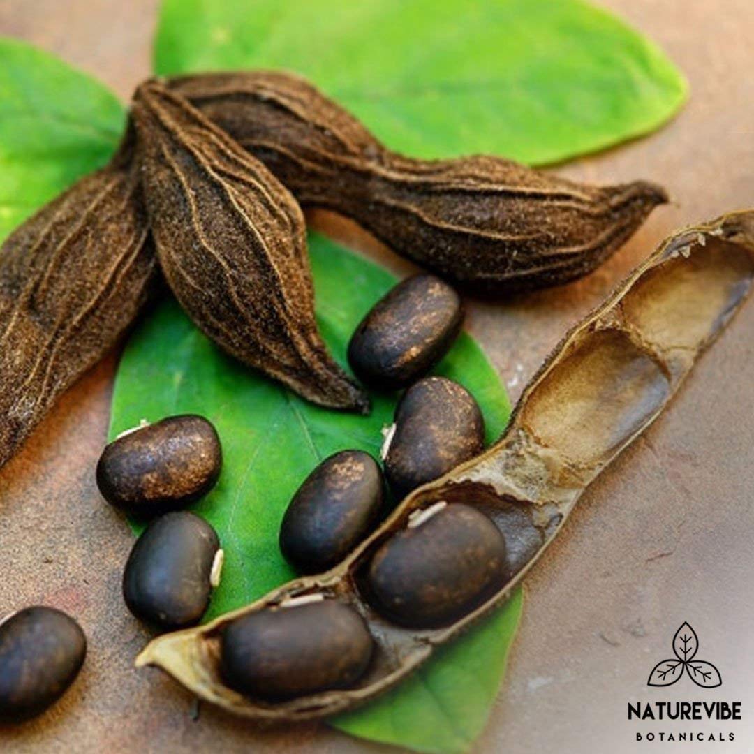 Mucuna powder for cognitive support