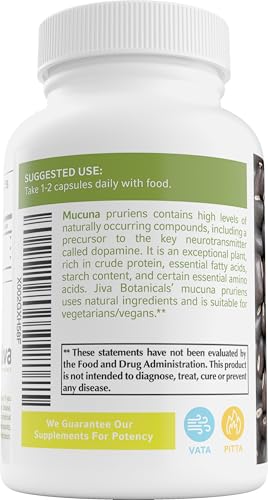 mucuna pruriens benefits for cognitive health