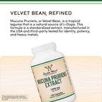 Mucuna Pruriens extract for energy boost