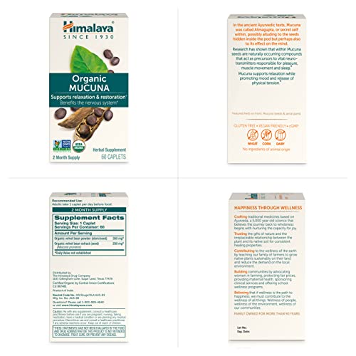 mucuna pruriens for cognitive function