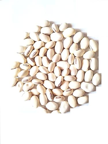 mucuna pruriens for mood enhancement