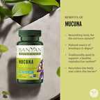 Mucuna Pruriens for mood support