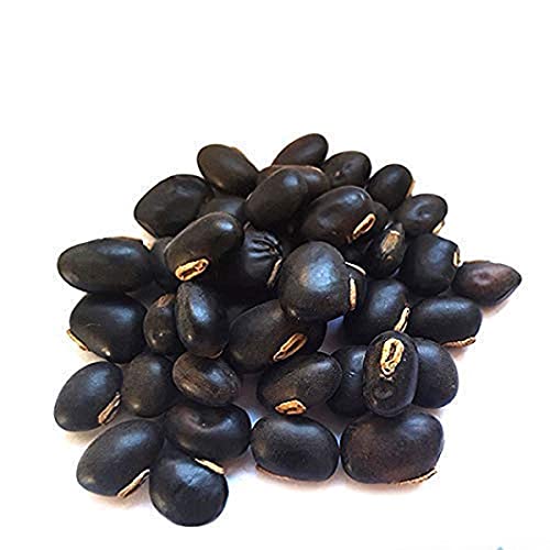 Mucuna Pruriens for natural energy
