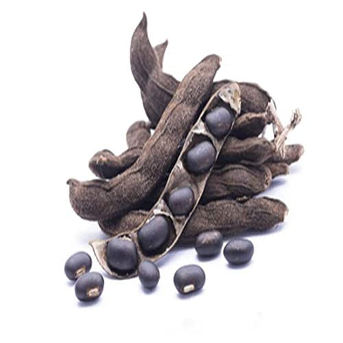 Mucuna Pruriens for stress relief