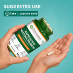 Mucuna Pruriens for stress relief