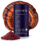MUDWTR mushroom blends for relaxation