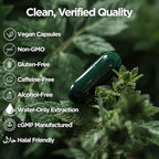 Mugwort extract for immune support