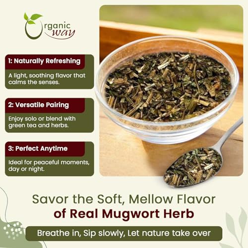 mugwort herb for digestive health