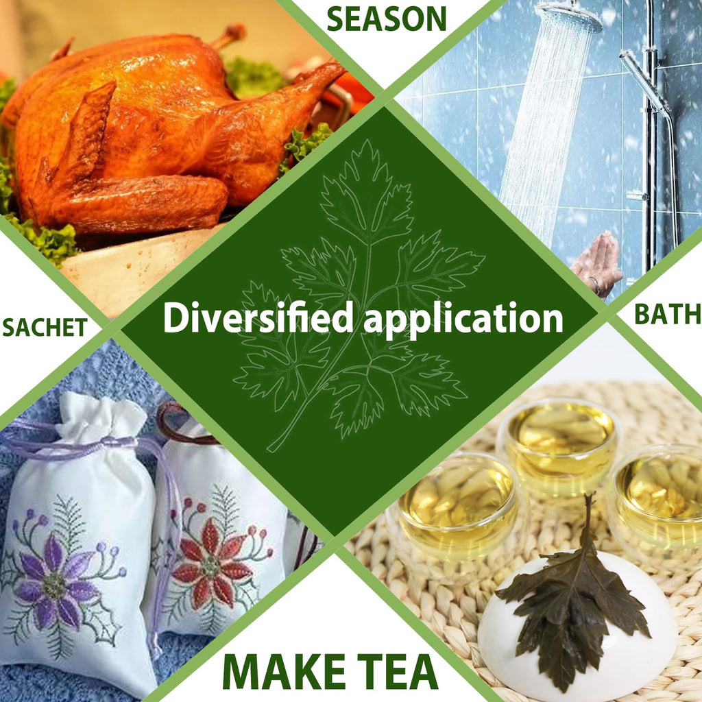 mugwort herb for digestive health