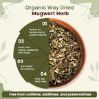 mugwort herbal detox tea blend