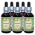 Mugwort herbal glycerite extract
