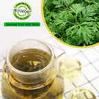 mugwort herbs for relaxation