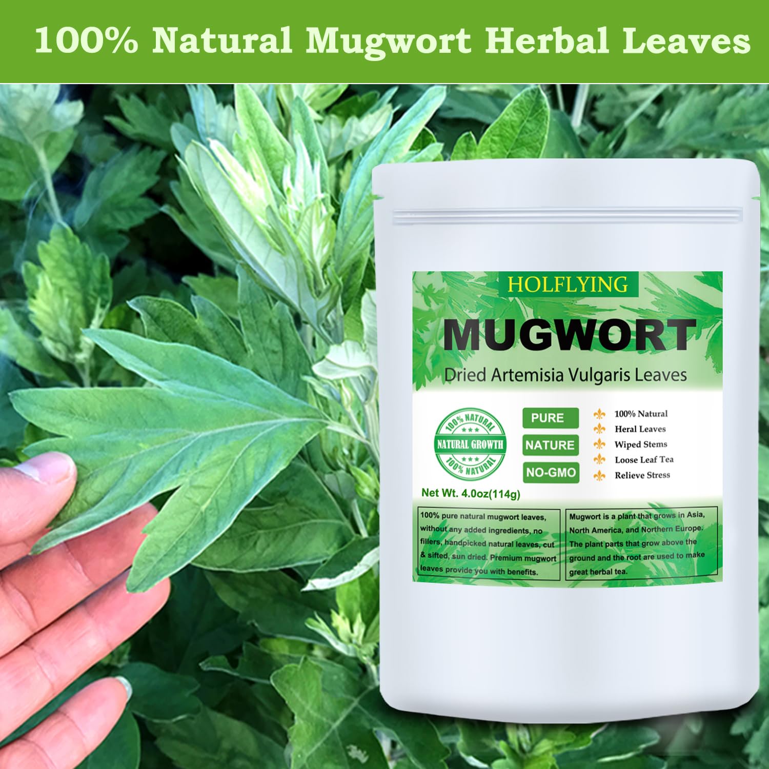 mugwort leaves for herbal detox