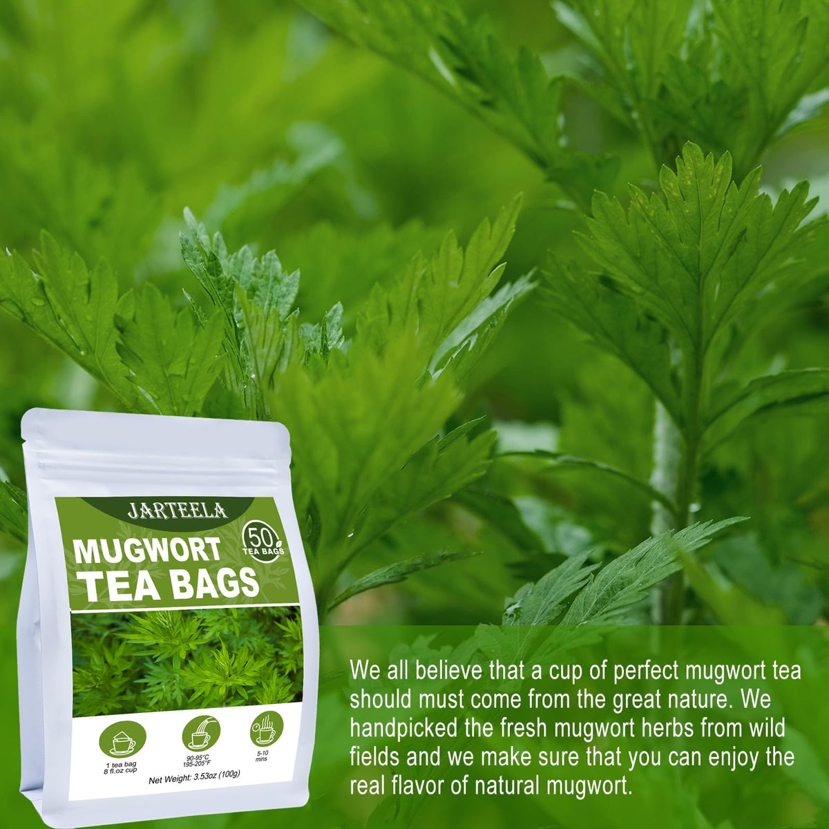 mugwort tea for digestive health